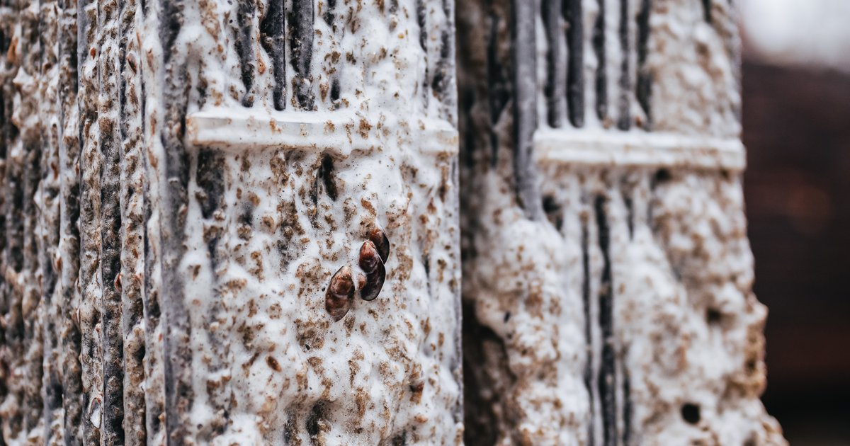 KV Jarl – Box Cooler Maintenence for the Norwegian Coast Guard | Nordic ...